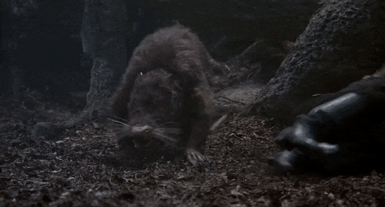 Phosphate or Chromate? | Pilots of America