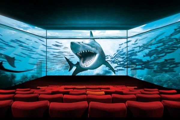 Cineplex.com | What are AVX, IMAX, VIP, 4DX, ScreenX and D-BOX? Here’s ...